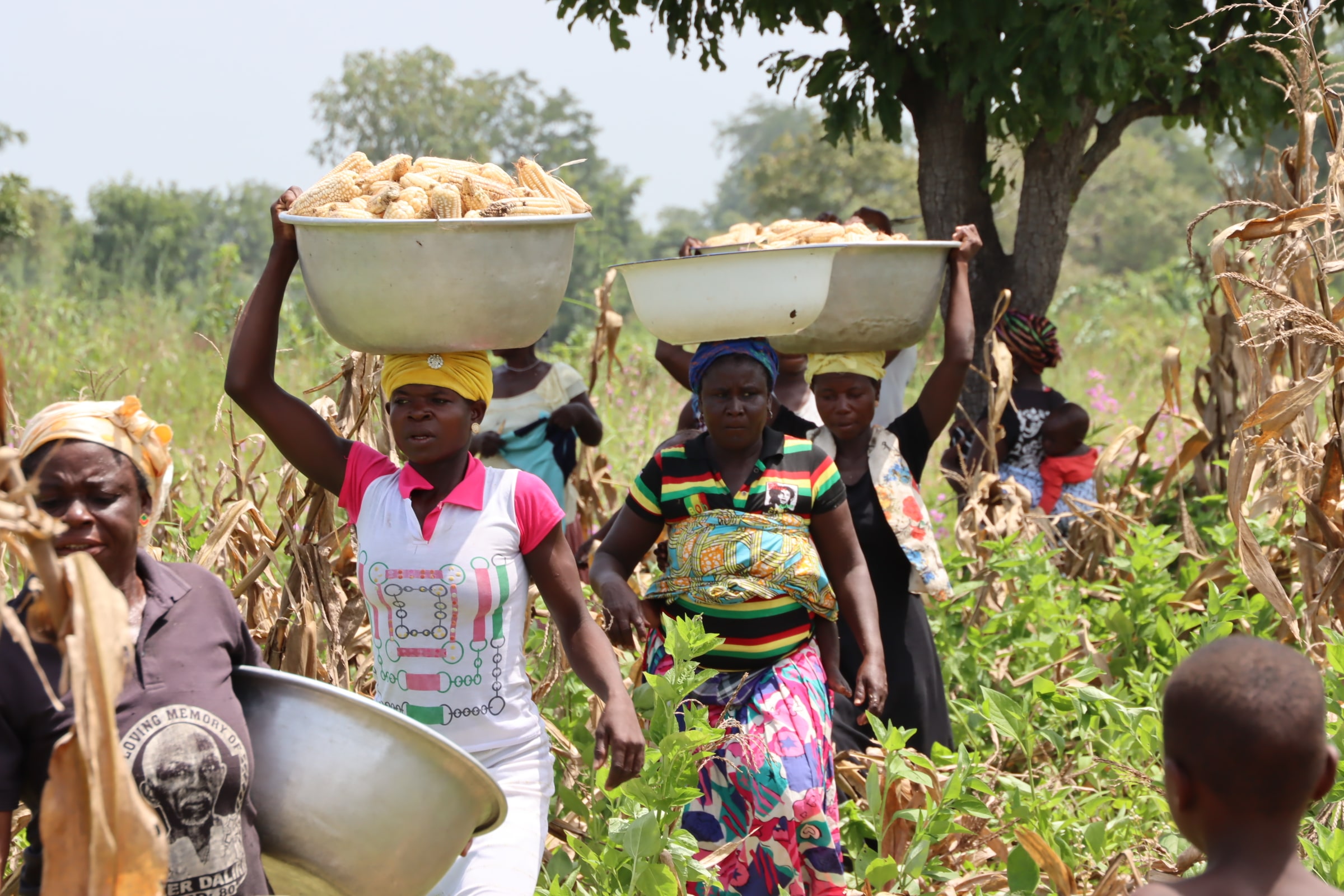 International Development Week 2022 - CDF - Co-operative Development ...