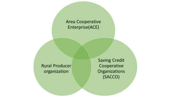 Integrated Co-operative Model - CDF - Co-operative Development ...