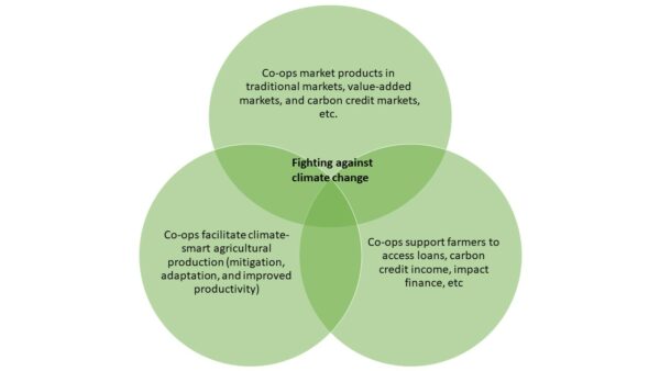 Integrated Co-operative Model - CDF - Co-operative Development ...