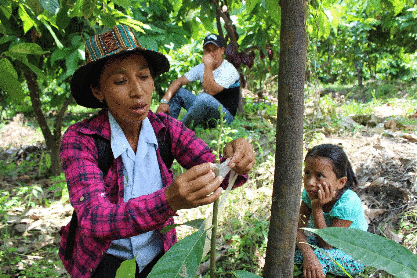 Global Learn and Share Program - CDF - Co-operative Development ...