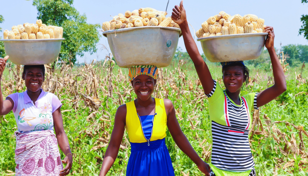 Centering rural women’s leadership: 4R Solution project's approach ...